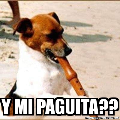 Meme Personalizado - Y MI PAGUITA?? - 31573089