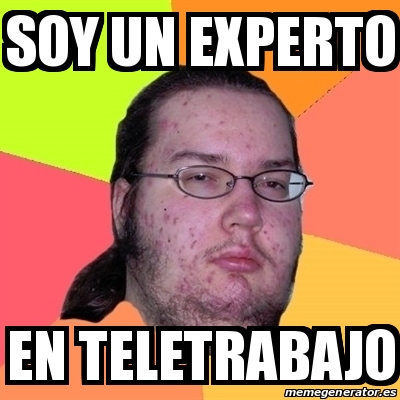 Meme Friki - soy un experto en teletrabajo - 31573894