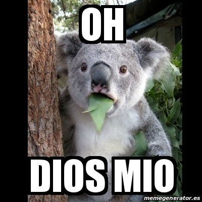 Meme Koala - oh dios mio - 31574884