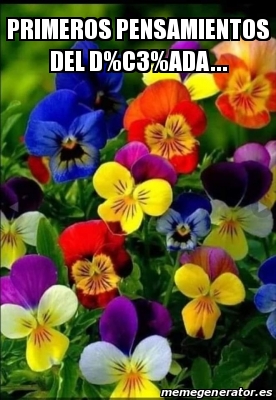 Meme Personalizado - Primeros pensamientos del d%C3%ADa... - 31576075