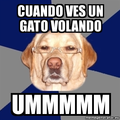 Meme Perro Racista - cuando ves un gato volando ummmmm - 31576540