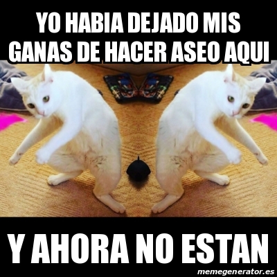 Meme Personalizado - Yo habia dejado mis ganas de hacer aseo aqui Y ...