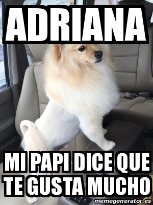 Meme Personalizado - Adriana Mi papi dice que te gusta mucho - 31578043