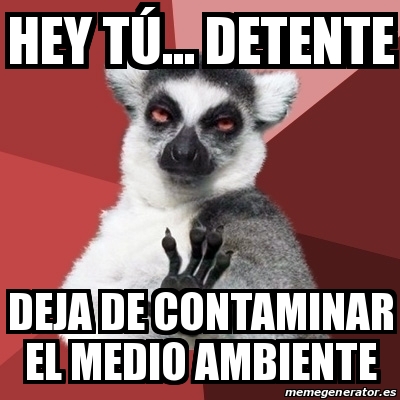Meme Chill Out Lemur - hey tÃº... detente deja de contaminar el medio ...