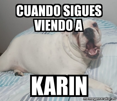 Meme Personalizado - Cuando sigues viendo a Karin - 31578722