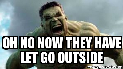 Meme Personalizado - oh no now they have let go outside - 31579297