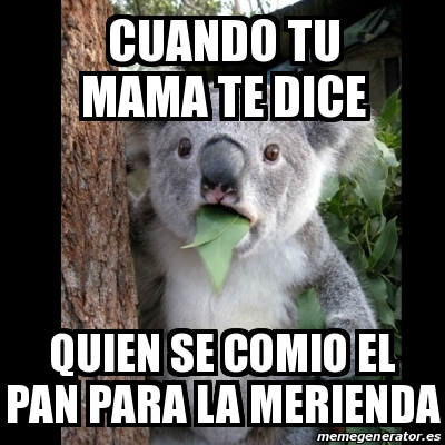Meme Koala - cuando tu mama te dice quien se comio el pan para la ...
