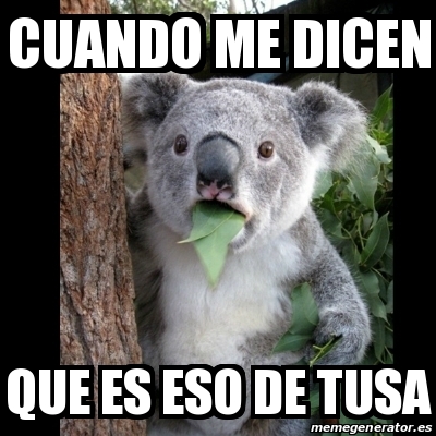 Meme Koala - Cuando me dicen Que es eso de tusa - 31584341