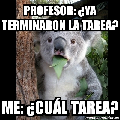 Meme Koala - Profesor: Â¿Ya terminaron la tarea? Me: Â¿cuÃ¡l tarea ...
