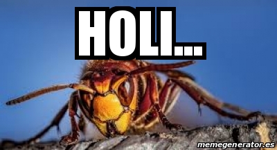 Meme Personalizado - holi... - 31588145