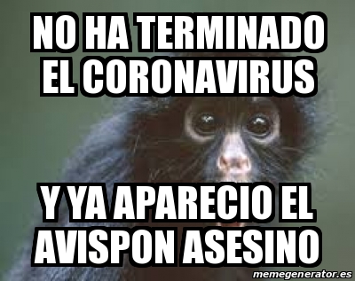Meme Personalizado - no ha terminado el coronavirus y ya aparecio el ...