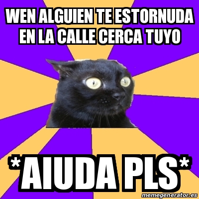 Meme Anxiety Cat - wen alguien te estornuda en la calle cerca tuyo ...