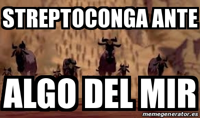Meme Personalizado - Streptoconga ante Algo del MIR - 31598829