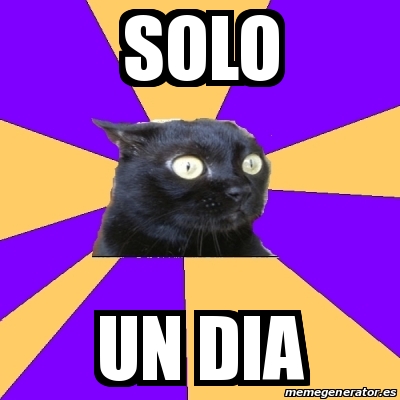 Meme Anxiety Cat - Solo Un dia - 31063190