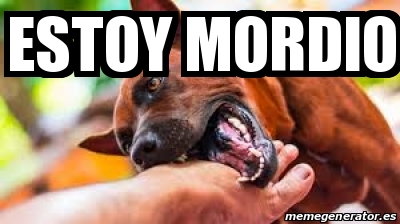 Meme Personalizado - Estoy mordio - 31602282