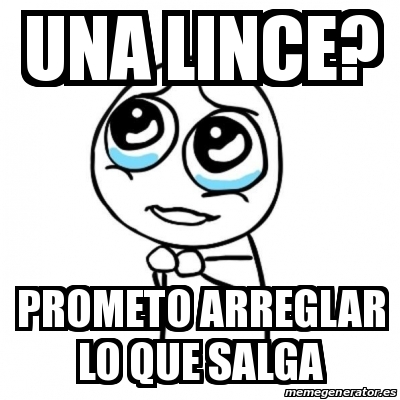 Meme Por favor - Una Lince? Prometo arreglar lo que salga - 31605281