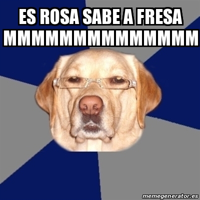 Meme Perro Racista - es rosa sabe a fresA MMMMMMMMMMMMMM - 31606219