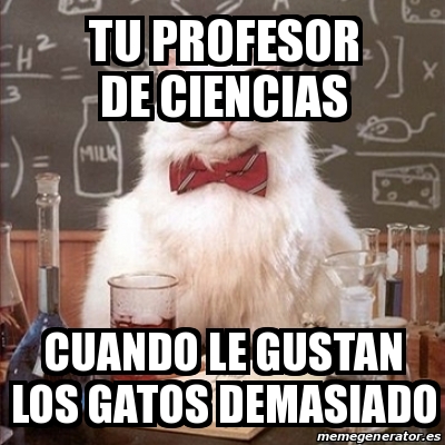 Meme Chemistry Cat - tu profesor de ciencias cuando le gustan los gatos ...