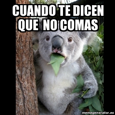 Meme Koala - Cuando te dicen que no comas - 31609648