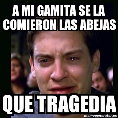 Meme crying peter parker - a mi gamita se la comieron las ABEJAS que ...