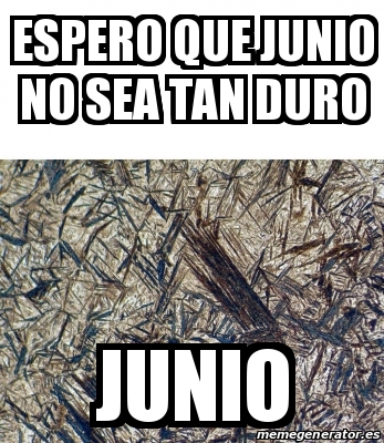 Meme Personalizado - espero que junio no sea tan duro junio - 31611092