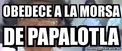 Morsa Memes