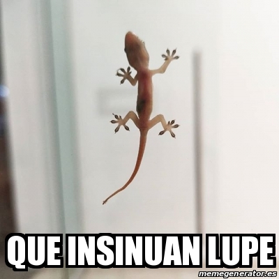 Meme Personalizado - Que insinuan lupe - 31613264