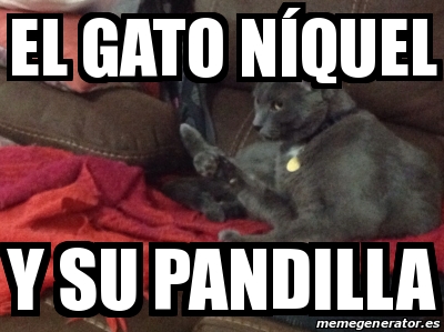 Meme Personalizado - El Gato NÃ­quel Y su pandilla - 31613924