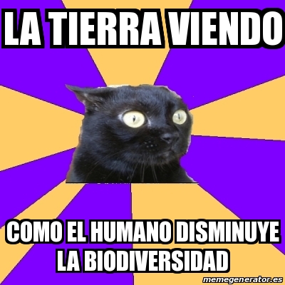 Meme Anxiety Cat - la tierra viendo como el humano disminuye la ...