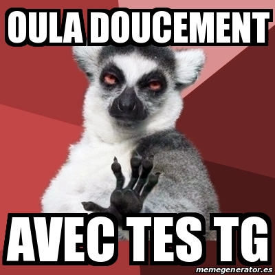 Meme Chill Out Lemur - oula doucement avec tes tg - 31615937