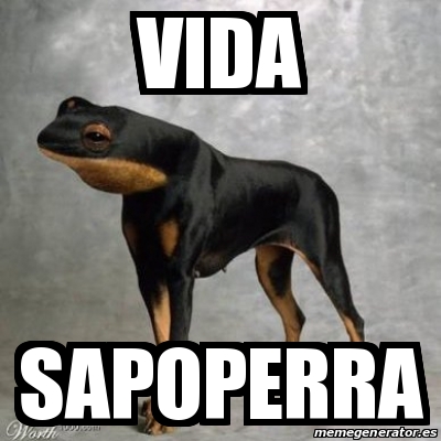 Meme Personalizado - vida sapoperra - 31616772