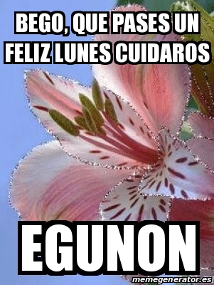 Meme Personalizado - Bego, que pases un feliz lunes cuidaros - 31616843