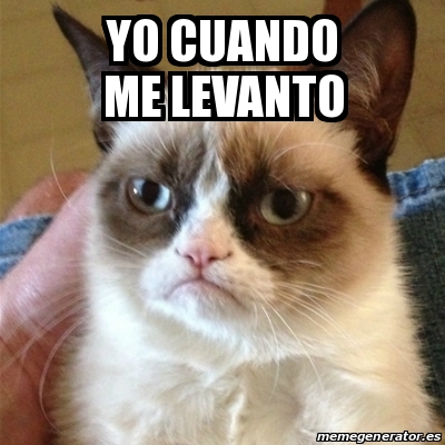 Meme Grumpy Cat - Yo cuando me levanto - 31617582