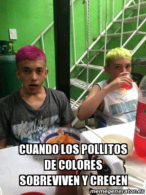 Meme Personalizado - Cuando los pollitos de colores sobreviven y crecen ...