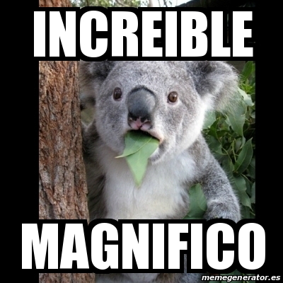 Meme Koala - increible magnifico - 31619769