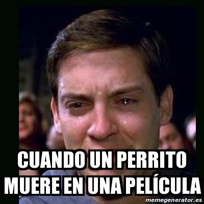 Meme crying peter parker - Cuando un perrito muere en una PELÃ CULA ...