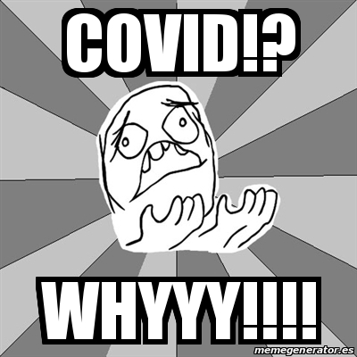 Meme Whyyy - covid!? whyyy!!!! - 31624268