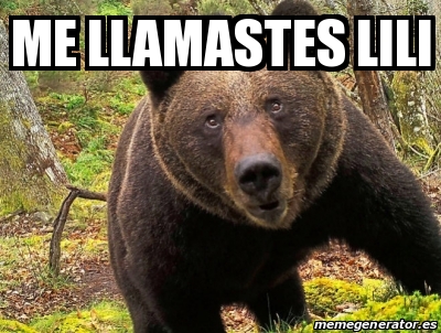 Meme Personalizado - Me llamastes lili - 31624977