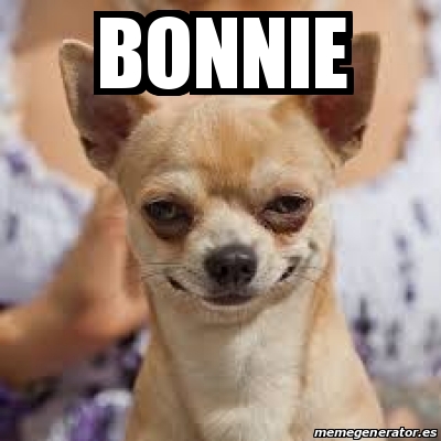 Meme Personalizado - bonnie - 31626154