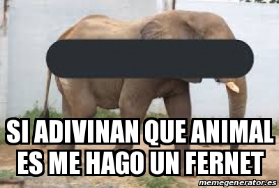 Meme Personalizado - SI ADIVINAN QUE ANIMAL ES ME HAGO UN FERNET - 31626501