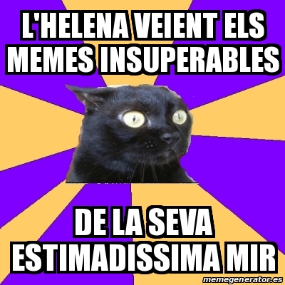 Meme Anxiety Cat - l'helena veient els memes insuperables de la seva ...