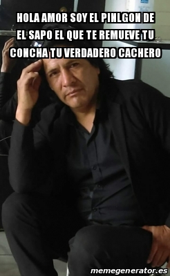 Meme Personalizado - Hola amor soy el pinlgon de el sapo el que te ...