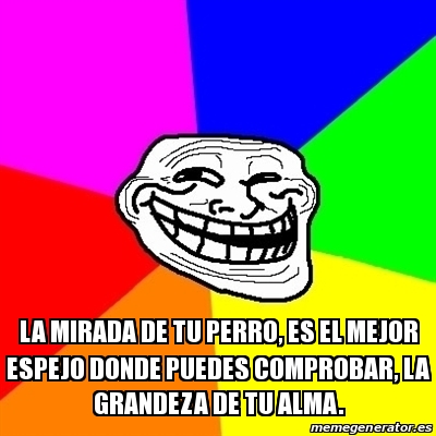 Meme Troll - La mirada de tu perro, es el mejor espejo donde puedes ...
