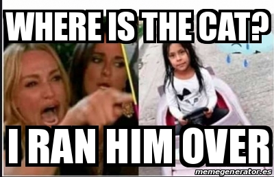 Meme Personalizado - WHERE IS THE CAT? i ran him over - 31634590