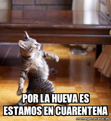 Meme Personalizado - Por la hueva es estamos en cuarentena - 31635107