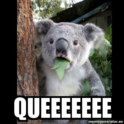 Meme Koala - Queeeeeee - 31639096