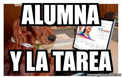 Meme Personalizado - Alumna Y la tarea - 31640393
