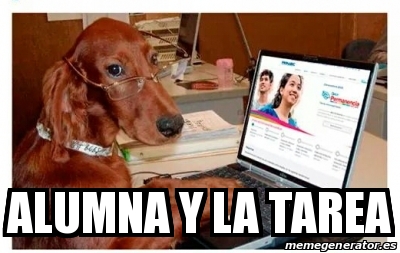Meme Personalizado - Alumna y la tarea - 31640397