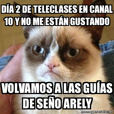 Meme Grumpy Cat - dÃ­a 2 de teleclases en canal 10 y no me estÃ¡n ...