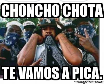 Meme Personalizado - Choncho chota Te vamos a pica. - 31649381